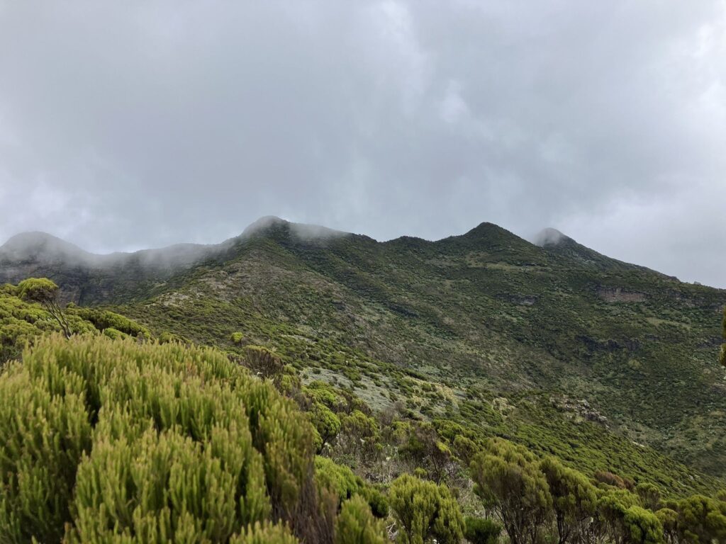 Elephant Hills - Aberdare National Park - Alderley Tours & Travel