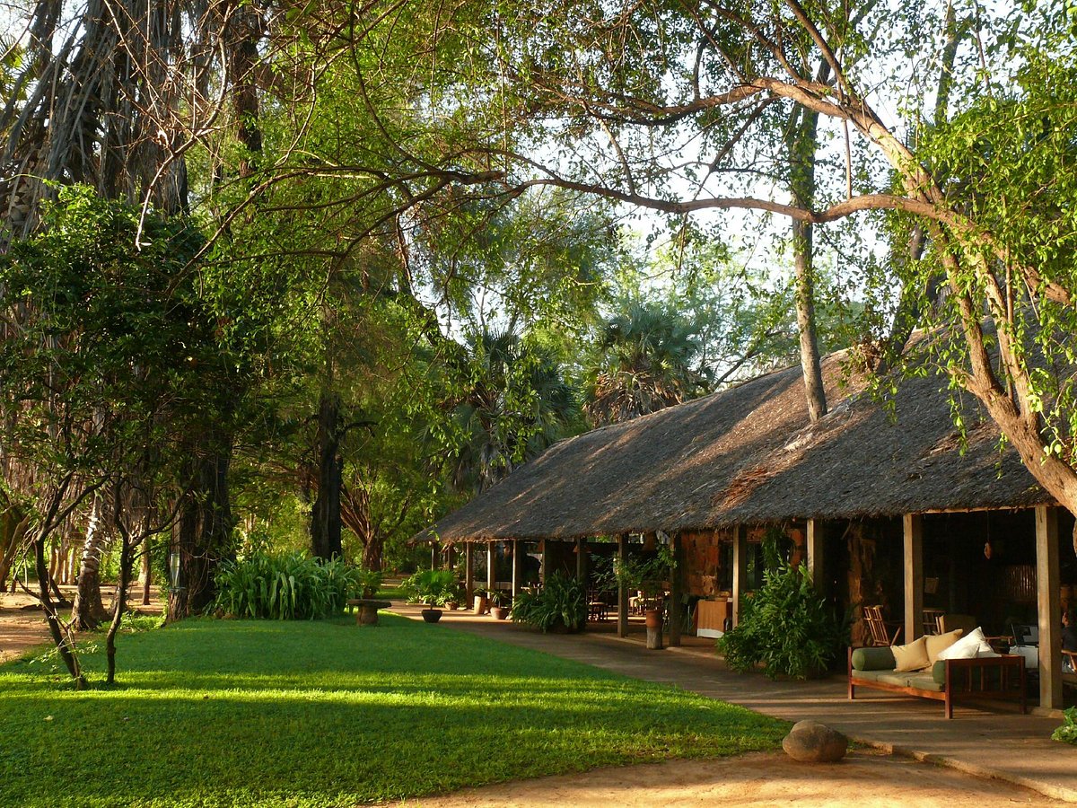 Tsavo Safari Camp - Alderley Tours & Travel